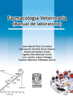 Formato Recetas Cuantificadas MVZ | PDF | Médico de atención primaria ...