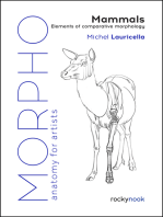 Michael D Mattesi Force The Key To Capturing Life Through Drawing PDF | PDF