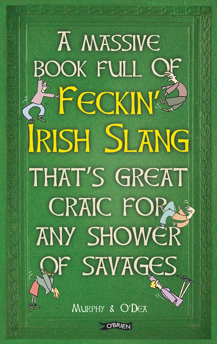 A Massive Book Full of FECKIN' IRISH SLANG that's Great Craic for Any ...