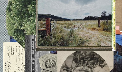 The Many Legacies of Letitia Carson - High Country News | Everand