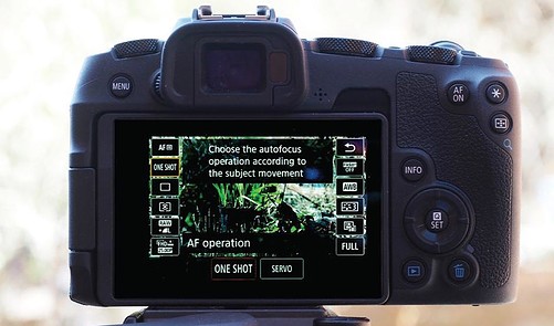 Check Your Focus Mode And AF Method - PhotoPlus : The Canon Magazine ...