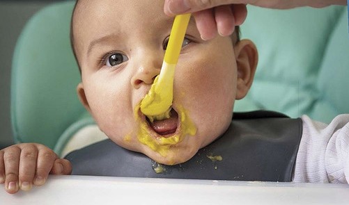 YOUR GUIDE TO Choosing Baby Foods - Healthy Food Guide | Everand
