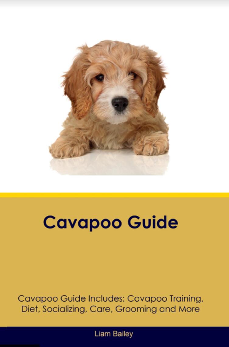 Cavapoo Guide Cavapoo Guide Includes by Liam Bailey - Ebook | Everand