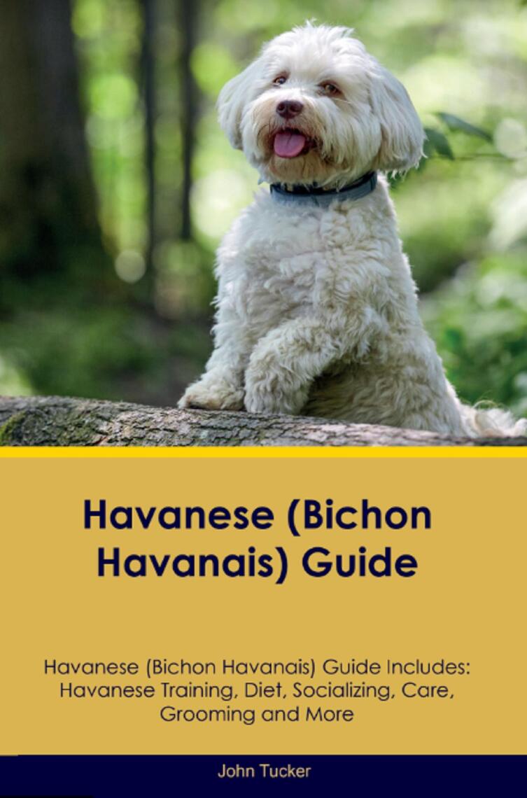 Havanese (Bichon Havanais) Guide Havanese Guide Includes by John Tucker ...