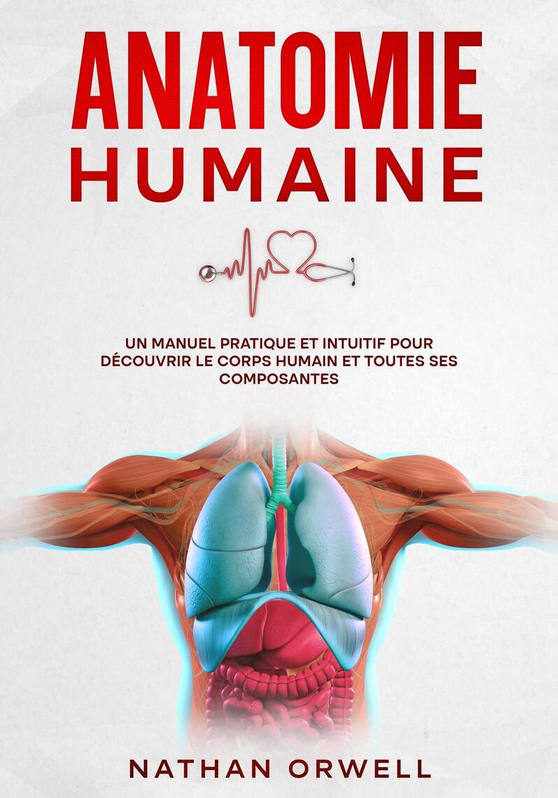 Anatomie Humaine: Un Manuel Pratique et Intuitif pour Découvrir le ...