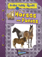 Horse Lapbook by Creative Learning Fun | PDF | Horse Gait | Horses