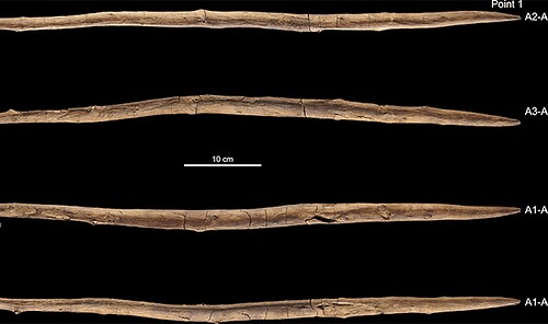 A New Look at One of the Oldest Weapons - Nautilus | Everand