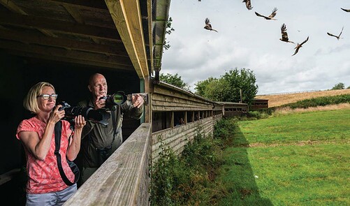 Raptor Capture - Photography Week | Everand