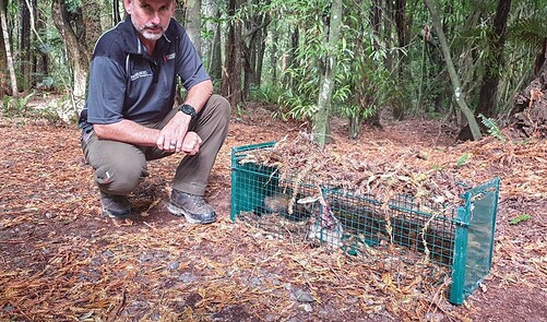 So You Want To Be A Professional Hunter? Pest Control - NZ Hunter | Everand