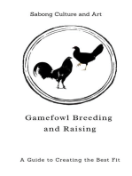 Gamecock Breeding Record - Complete Markings Sheets | PDF | Chicken | Birds