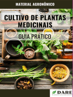 Concorde ICL Brazil | PDF | Agricultura