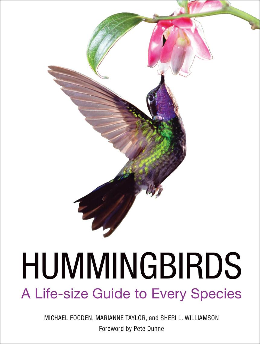 Hummingbirds by Michael Fogden, Marianne Taylor, Sheri L. Williamson ...