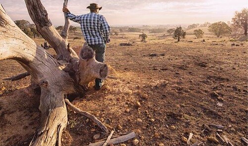 BoM Calls It: El Niño And Positive IOD Underway - Cosmos Magazine | Everand