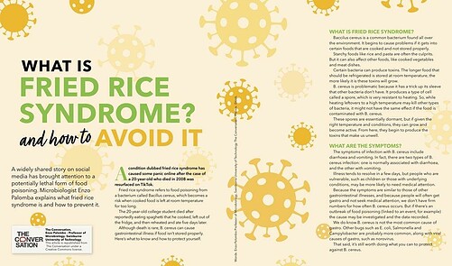 WHAT IS FRIED RICE SYNDROME? and how to AVOID IT - Healthy Food Guide ...