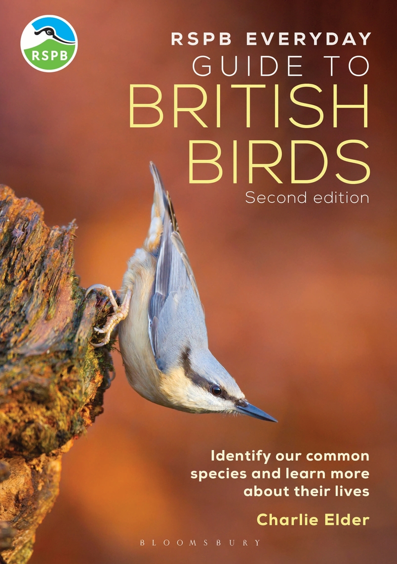 RSPB Everyday Guide to British Birds by Charlie Elder (Ebook) - Read ...