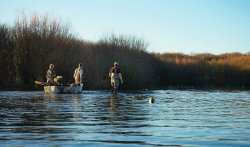 REWILD FISH&GAME - NZ Hunter | Everand