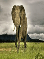 STEP AP203 Vs AP214 Vs AP242 - What Are Their Basic Functions | PDF | 3 ...