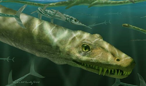 Paleontologists Discover A 240-million-year-old 'Dragon' Fossil In Full ...