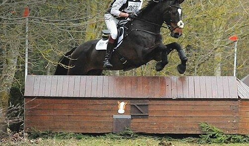 Galileo Discovers A Winning Formula - Horse & Hound | Everand