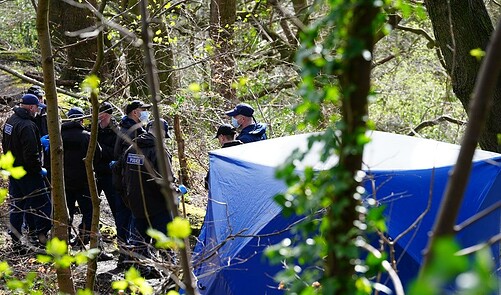 Police Reveal New Details After Headless Human Torso Found Wrapped In ...