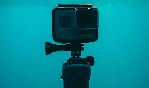 Best Underwater Cameras In 2024 For Submerged Snaps On Holiday ...