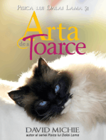 Pomelnic Model | PDF