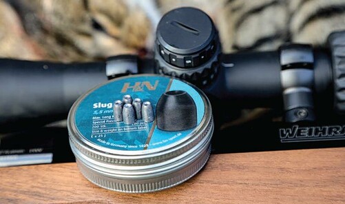 H&N Hollow-point Air Rifle Slugs - Sporting Shooter | Everand