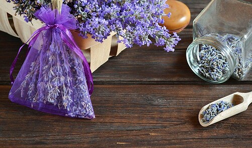 How To Pimp Up Your Home With Lavender Plants - The Independent | Everand