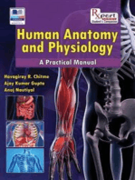 Epic Cupid | PDF | Medical Imaging | Health Care