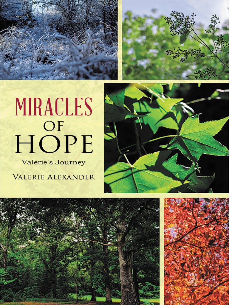 Miracles of HOPE by Valerie Alexander (Ebook) - Read free for 30 days