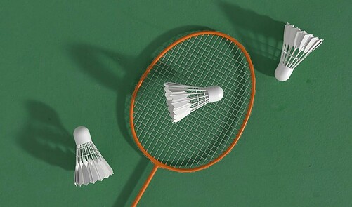 Best Badminton Rackets In 2024: 10 Options That Hit The Mark - Evening ...