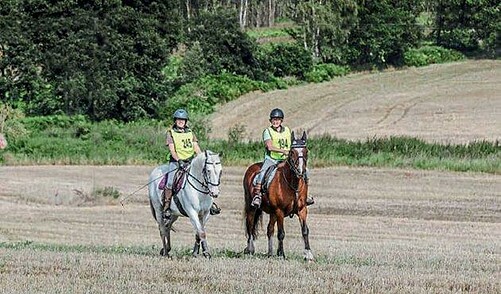 'George Ran, But He Got Too Close To The Paddock Fence, Skidded And ...