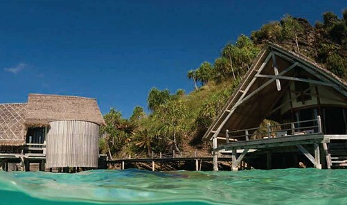 Misool Marine Reserve, Raja Ampat Indonesia - BBC Wildlife Magazine ...