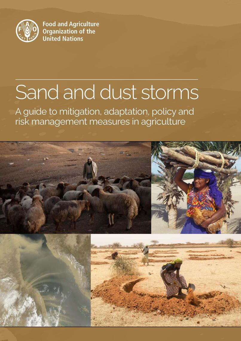 Sand and Dust Storms: A Guide to Mitigation, Adaptation, Policy and ...