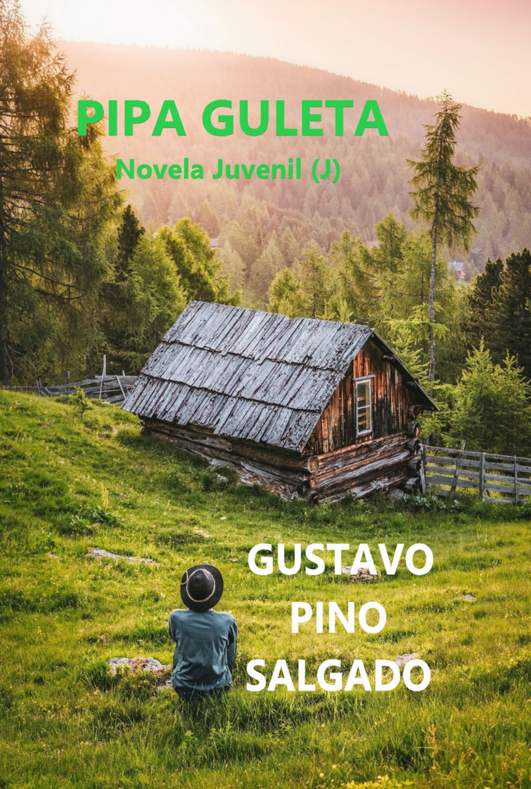 Pipa Guleta de Gustavo Pino Salgado (Libro electrónico) Leer gratis ...