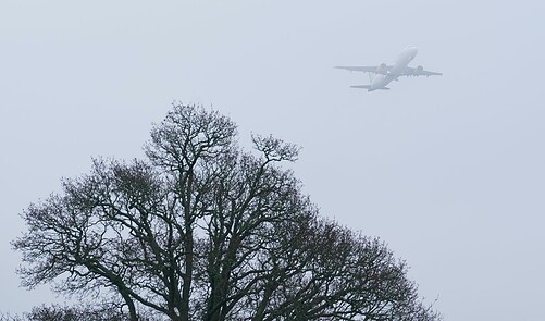 Airport Delays Live: Fog Travel Chaos Could Continue At Gatwick And ...