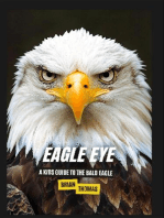 Bald Eagle Fact Sheet | PDF | Bald Eagle | Ddt