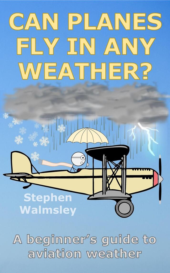 Can Planes Fly In Any Weather: A beginner's guide to aviation weather ...