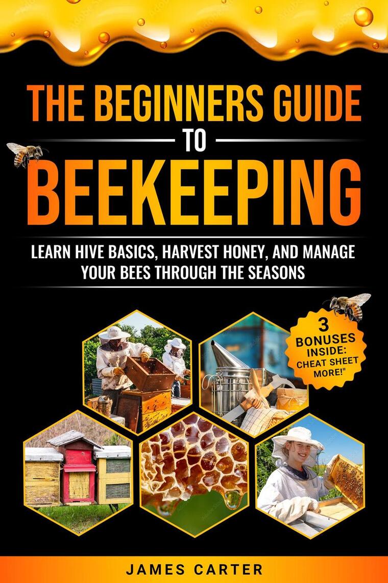 The Beginner's Guide to Beekeeping: Learn Hive Basics, Harvest Honey ...