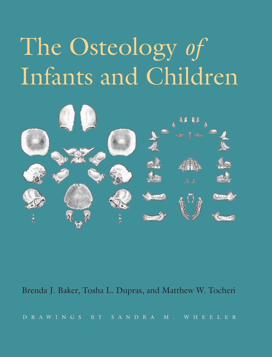 The Osteology of Infants and Children by Brenda J. Baker, Tosha L ...