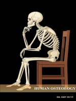 Skeletal System 206 Bones Comprehensive List | PDF | Skull ...