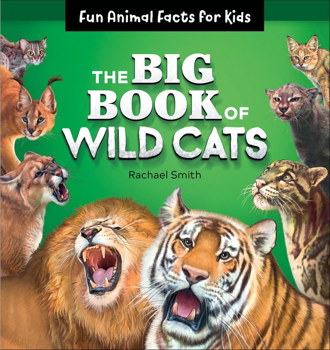 The Big Book of Wild Cats by Rachael Smith (Ebook) - Read free for 30 days