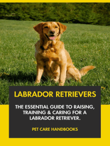 Labrador Retrievers: The Essential Guide to Raising, Training & Caring ...