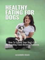 Pet Size o Meter Rabbit | PDF | Obesity | Dieting