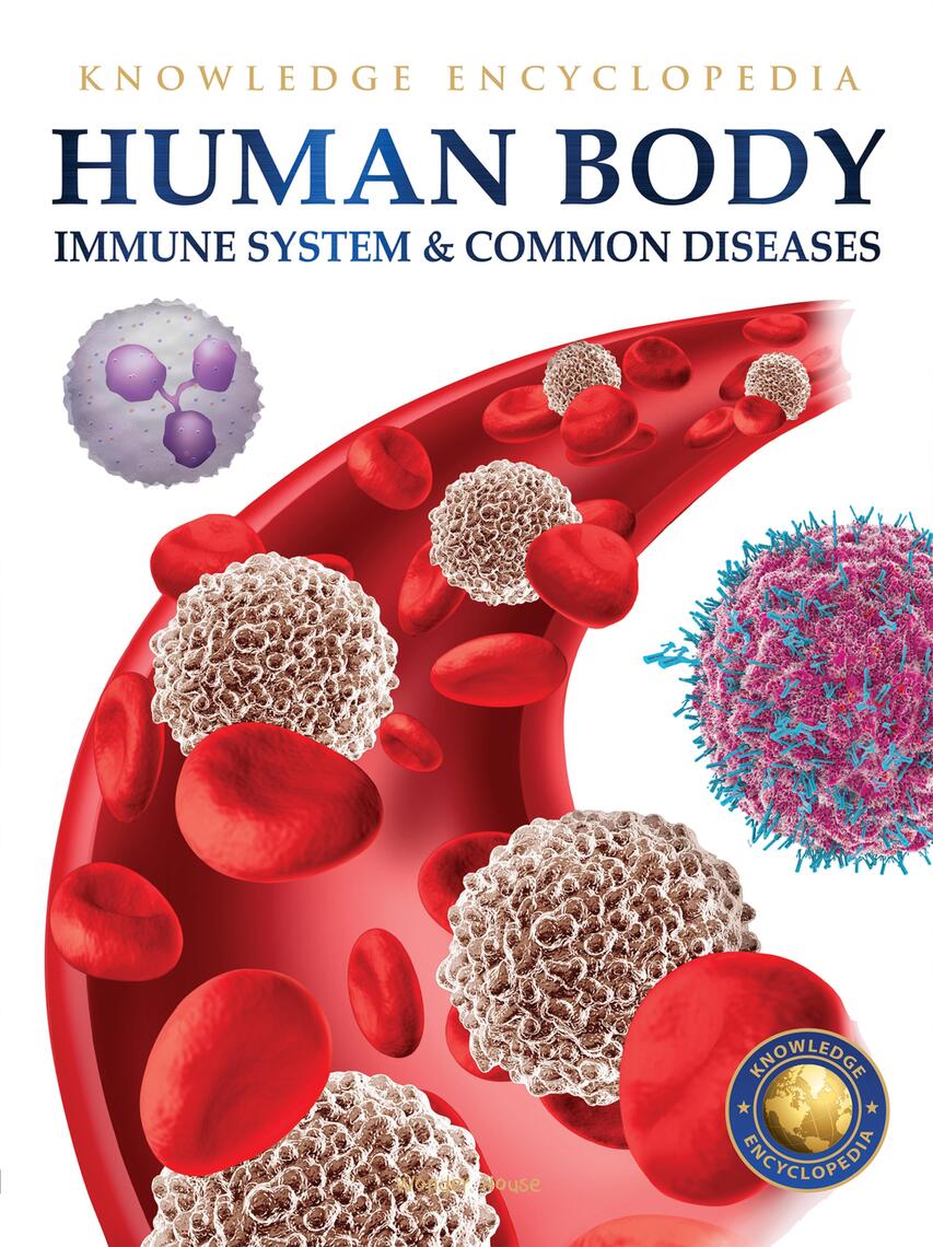 Human Body - Immune System And Common Diseases: Knowledge Encyclopedia ...