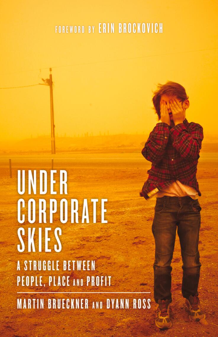 Under Corporate Skies by Martin Brueckner, Dyann Ross, Erin Brockovich (Ebook) - Read free for ...
