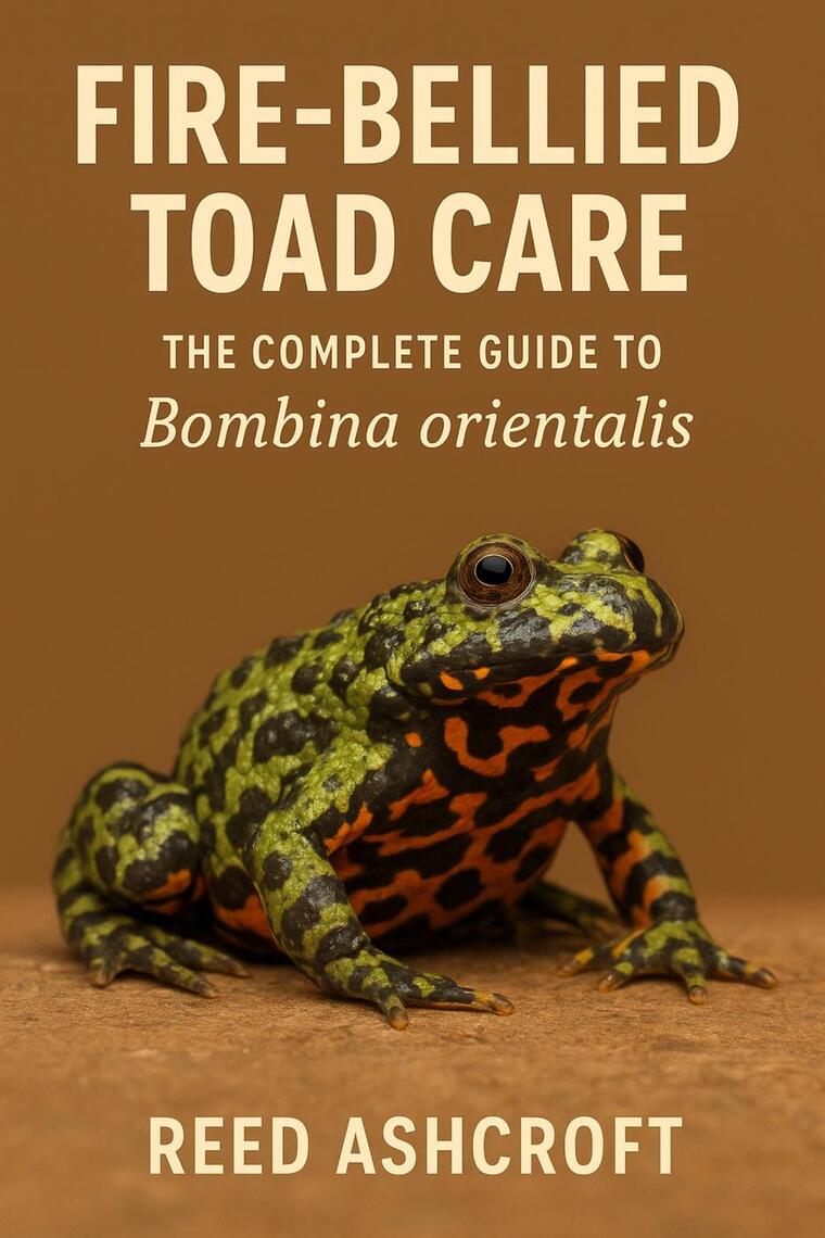 Fire-Bellied Toad Care The Complete Guide to Bombina orientalis by Reed ...