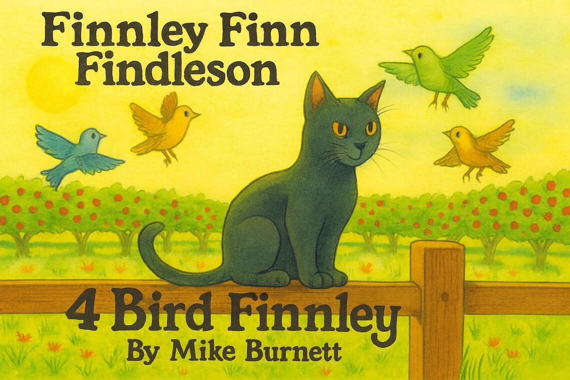 Finnley Finn Findleson - 4 Bird Finnley by Mike Burnett (Ebook) - Read ...