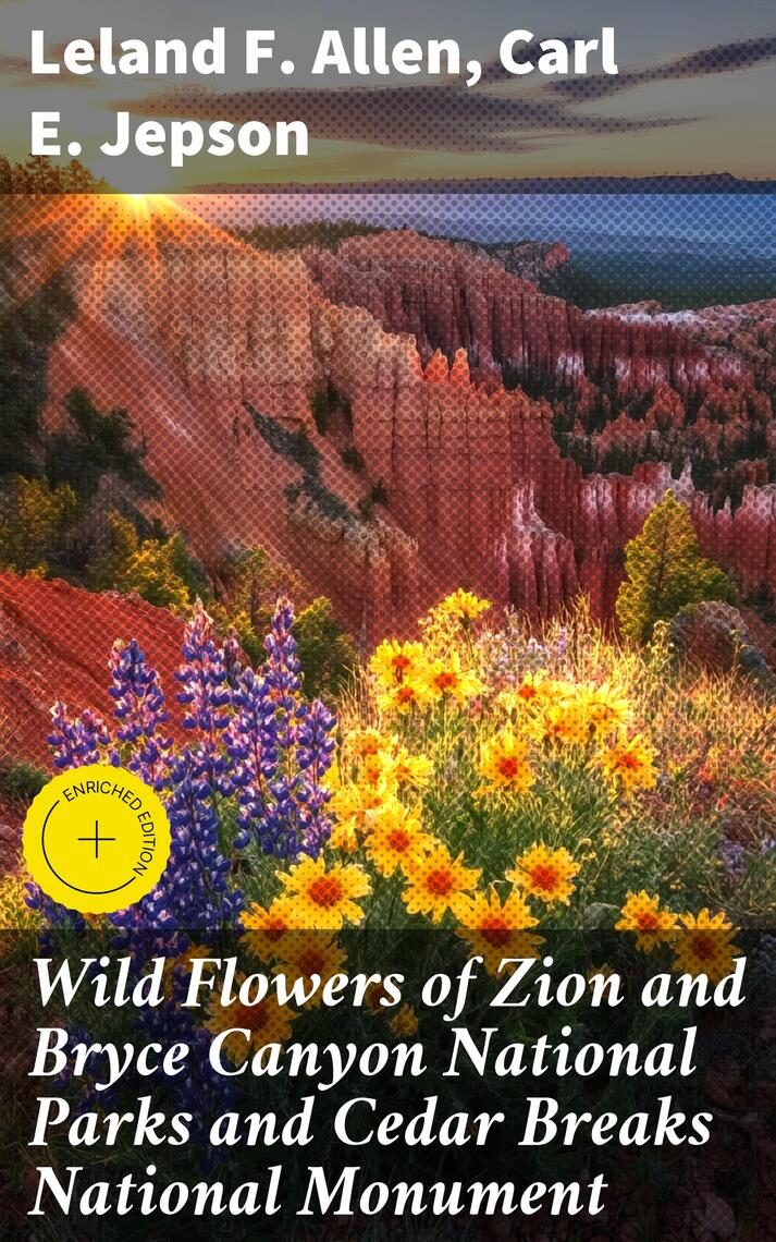 Wild Flowers of Zion and Bryce Canyon National Parks and Cedar Breaks ...