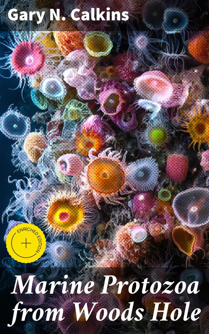 Marine Protozoa from Woods Hole by Gary N. Calkins, Good Press, Chloe ...